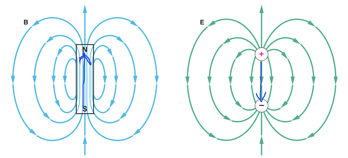 The Differentiating Impacts of Electricity and Electromagnetism on ...